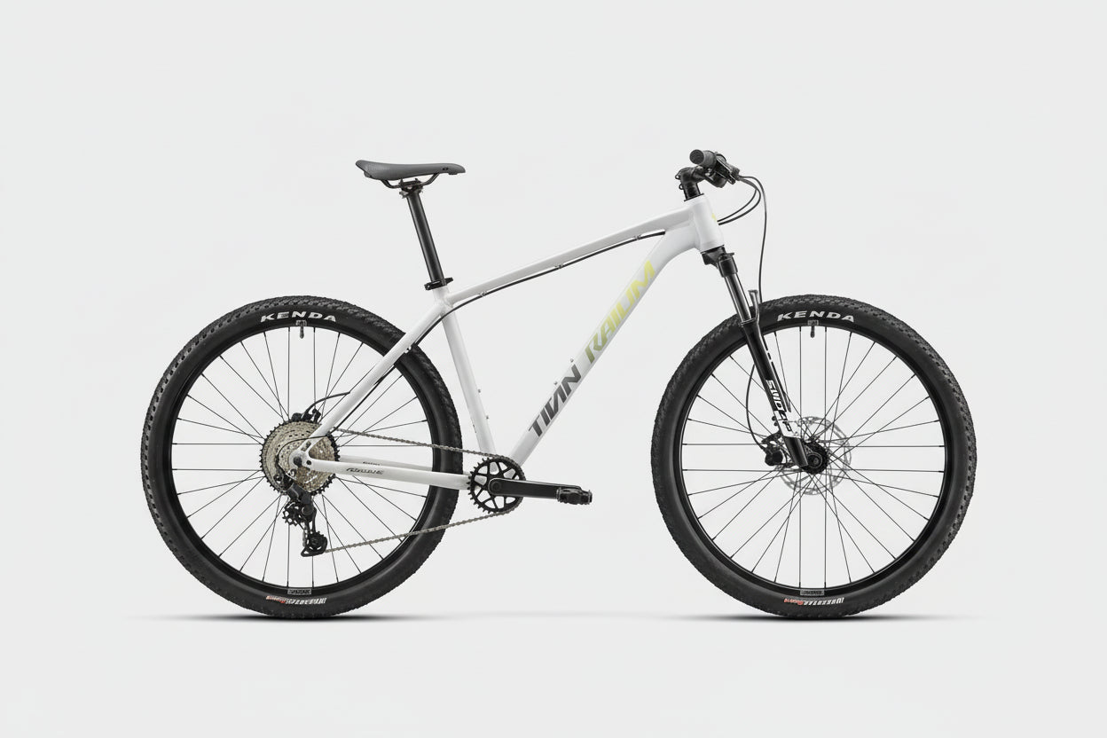 Titan Rogue Alpine – Finish Line Cycles